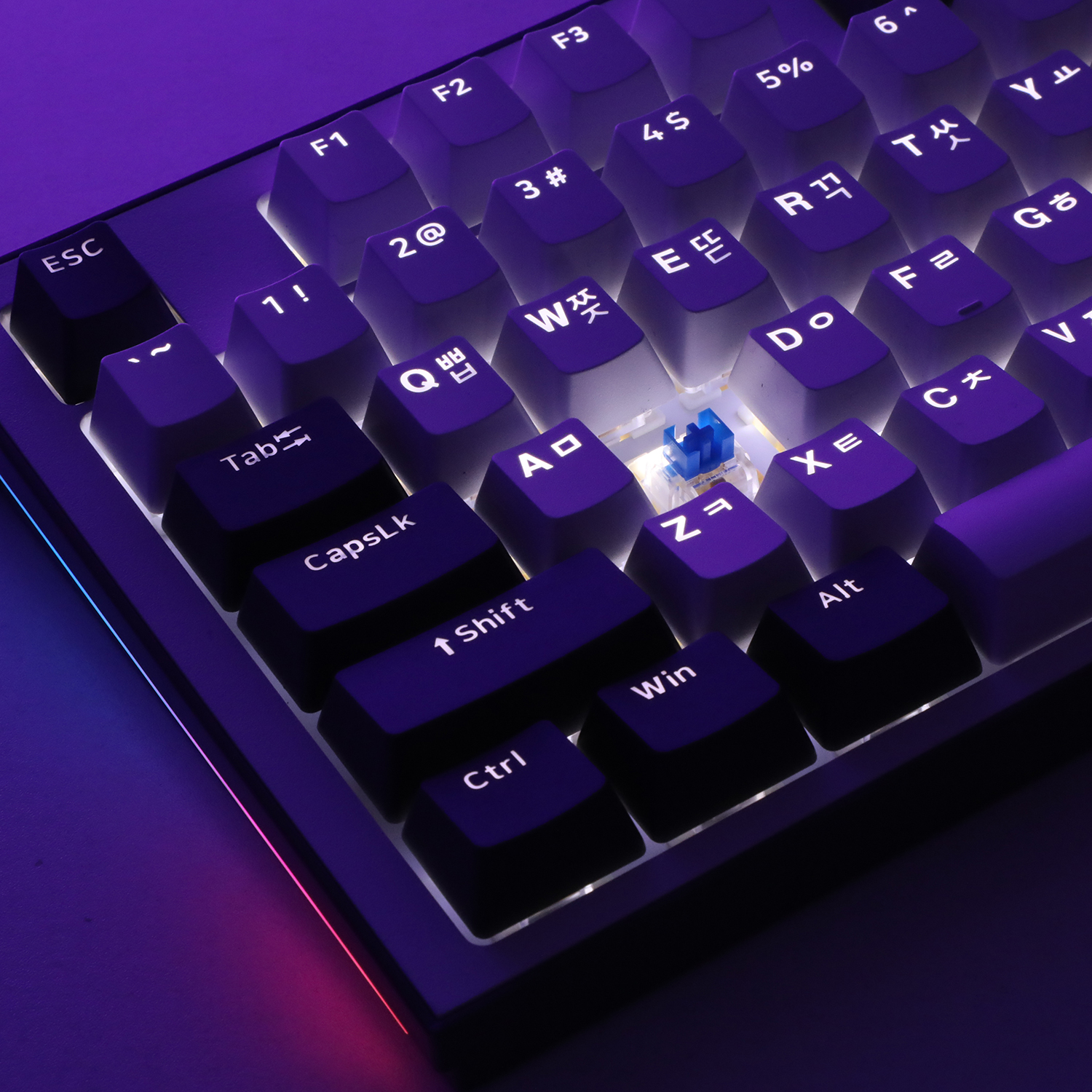 CK01 TKL 기계식 키보드 | ABKO