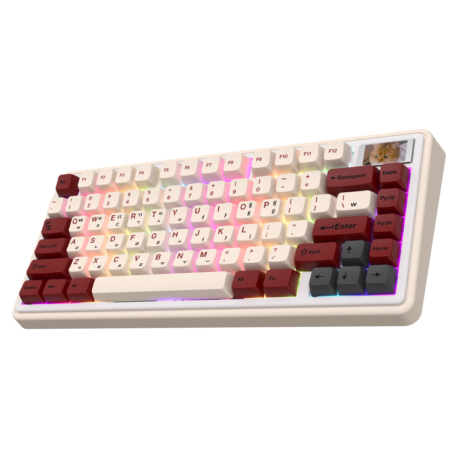 CK80 유무선 기계식 | ABKO